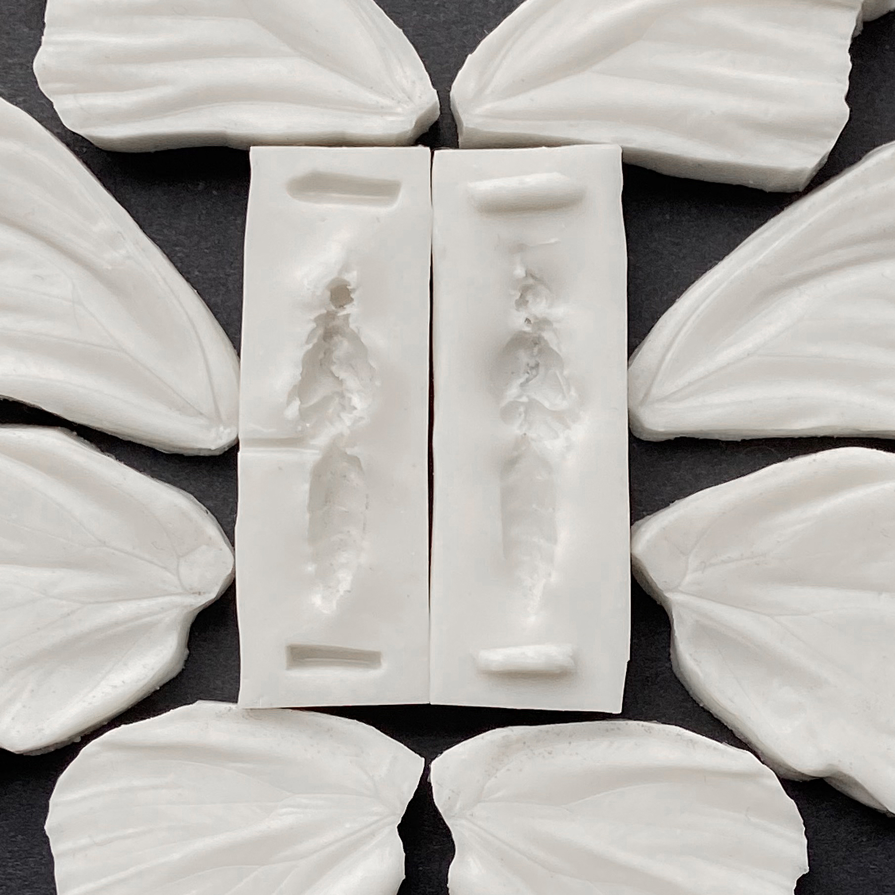 Butterfly (Peacock) Veiner Set By Robert Haynes – Sugar Flower Studio