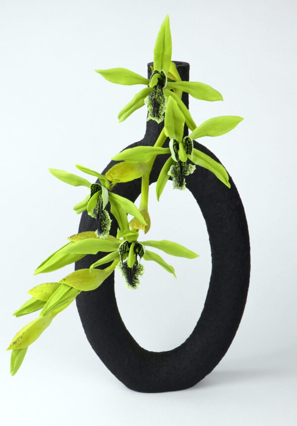 Coelogyne Mayeriana Orchid Botanically Correct Veiners & Mould Set of 6 ...